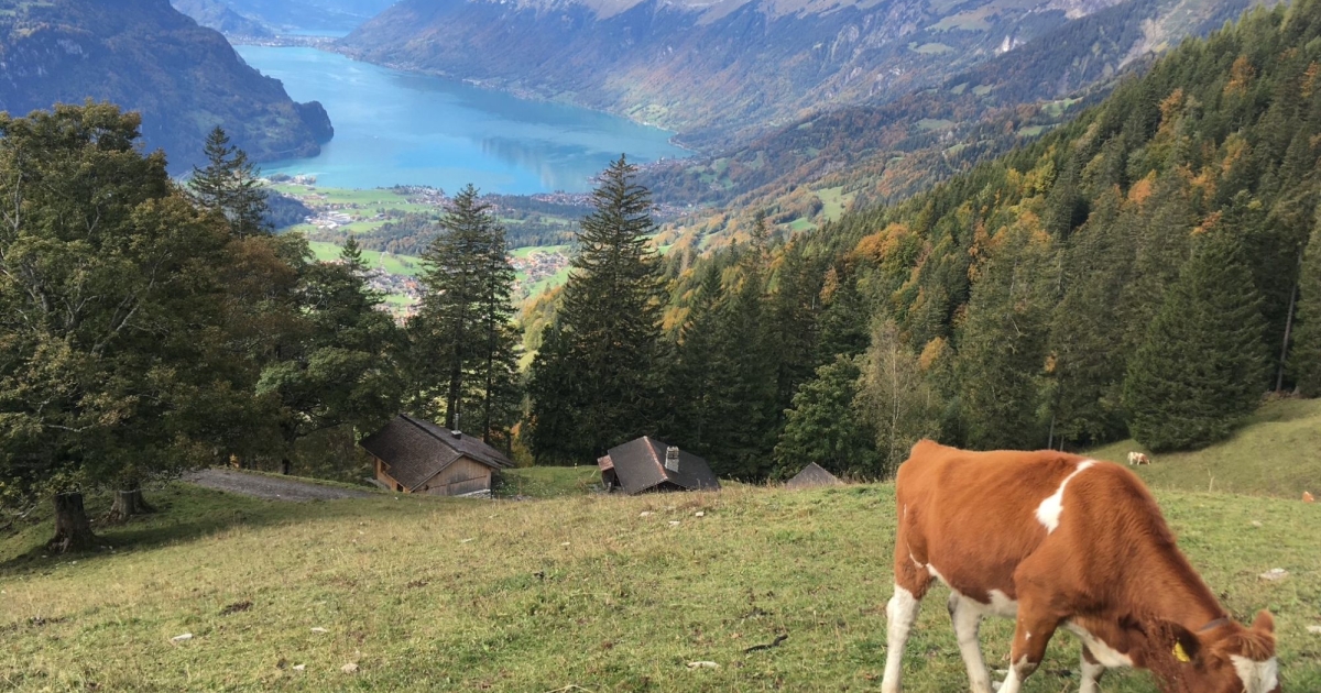 Fitness-Check Lungern / Höch Gumme